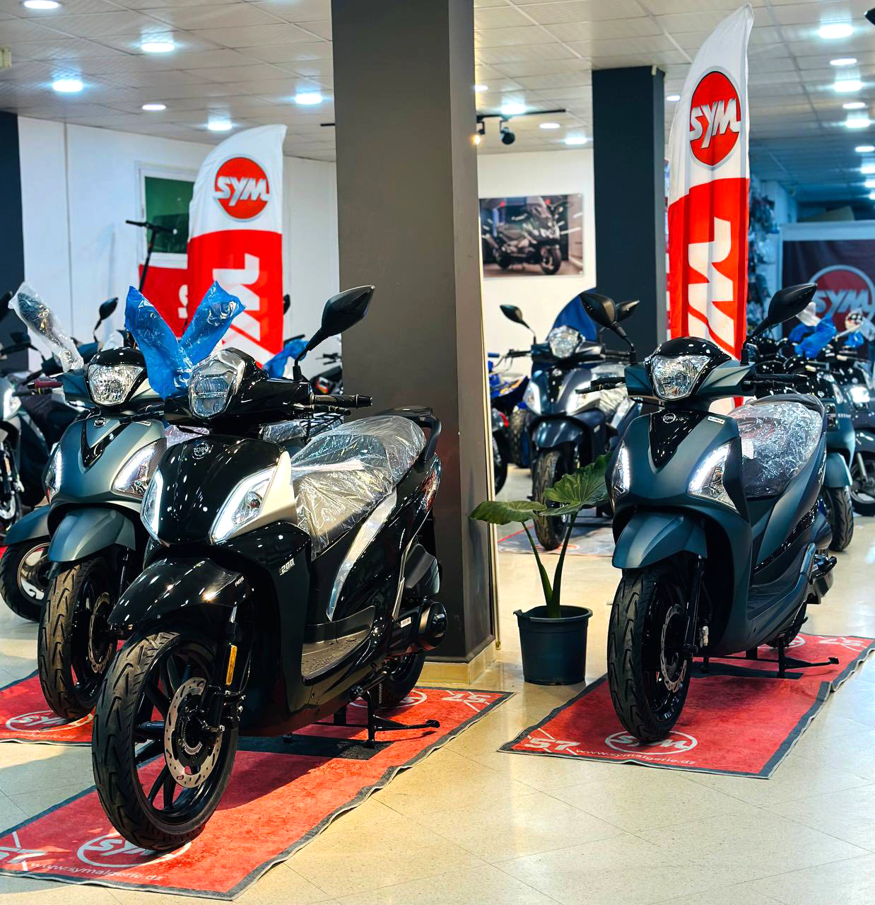Motocycle Sym Algeria : Spéculation et contrefaçon - El Watan