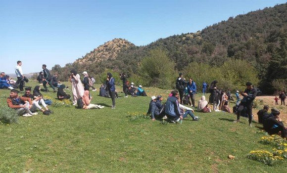 Tamza (Khenchela) : Une randonnée pédestre pour protéger la forêt - El ...