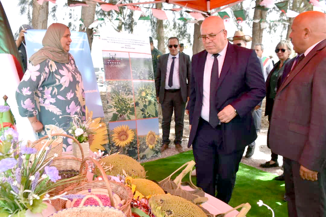Abderrachid Tabi à propos du projet de révision du code pénal : «C’est ...